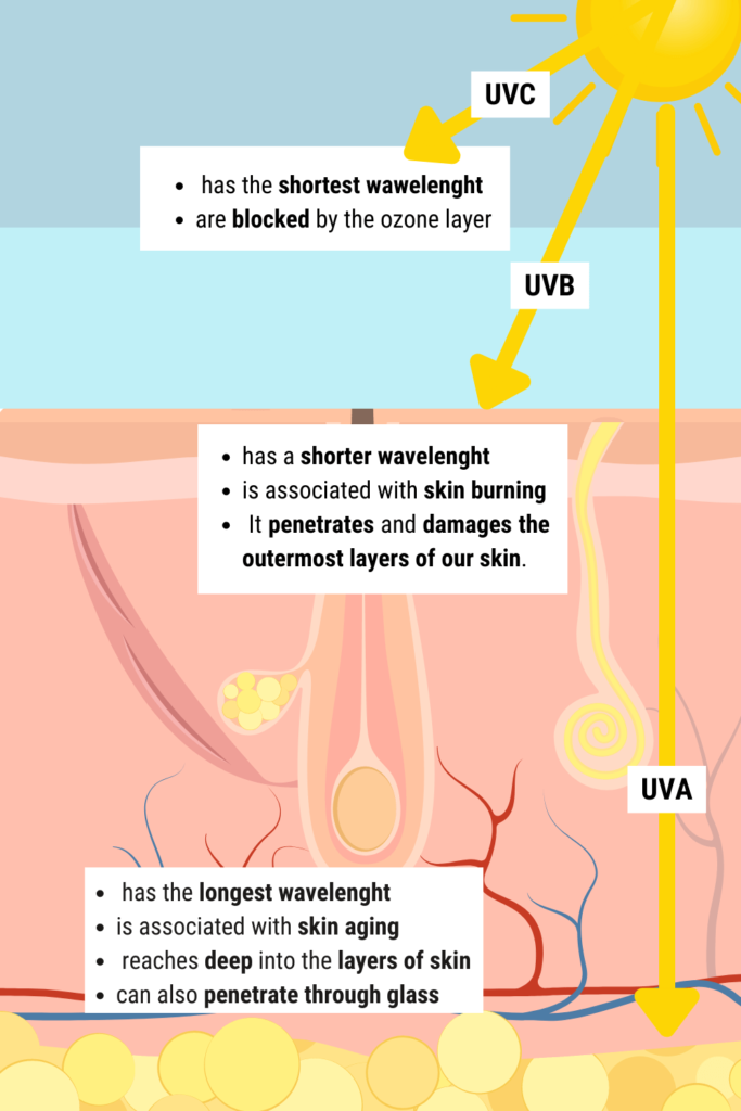 Role of reactive oxygen species in ultraviolet-induced photodamage of ...